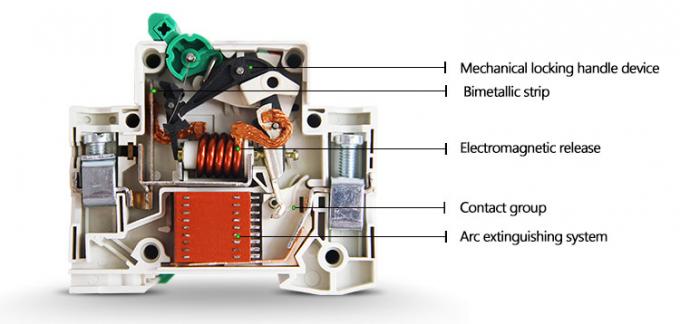 IEC 60898-1 Suntree MCB AC 50A Mini Circuit Breaker